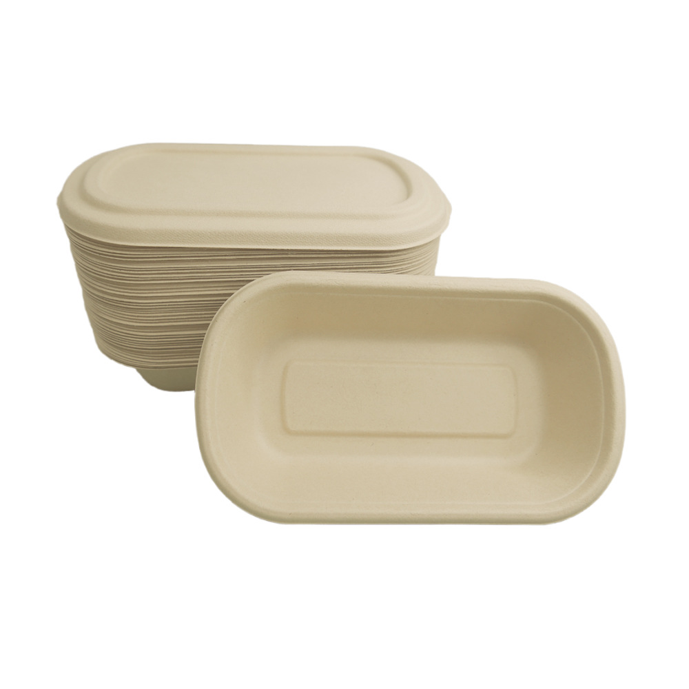Eco-Friendly Disposable Bamboo Bento Box Manufacturer